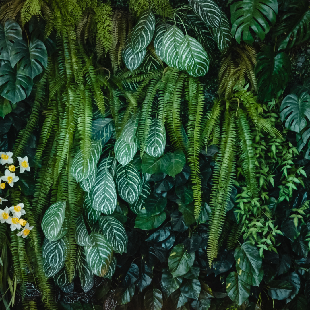 Greenery – Page 2 – House To Home