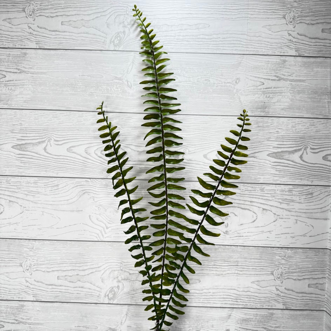 LARGE 3 STEM FERN - PF1705 * BROWN RED – House To Home